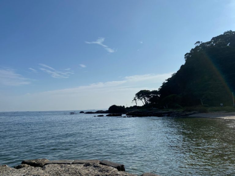 【神奈川県須賀市】『観音崎堤防~灯台下』の海釣りガイド(釣れる魚・駐車場・トイレ)|関東釣りwalker