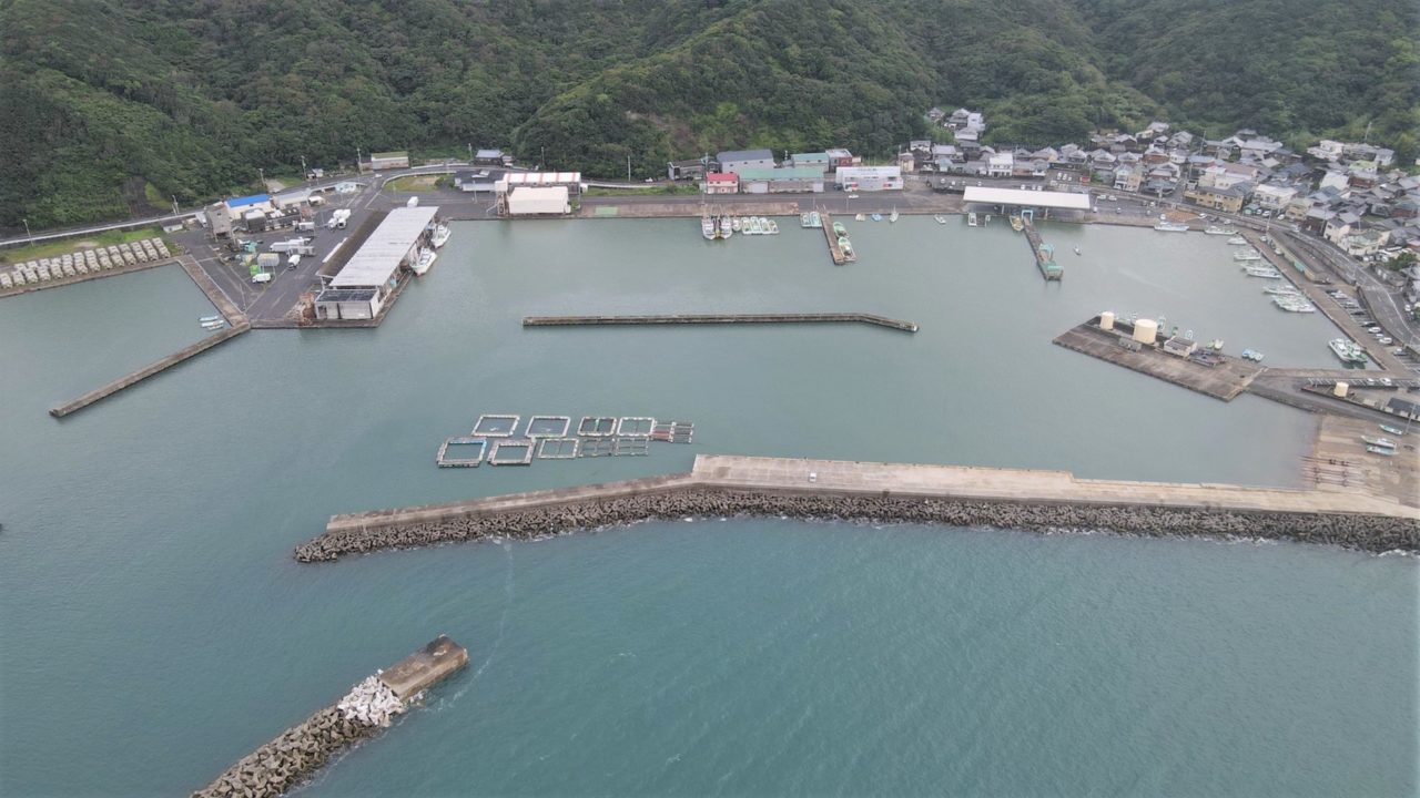 【和歌山県日高町】『阿尾漁港｜あおぎょこう』の海釣りガイド（釣れる魚・駐車場・トイレ）｜和歌山釣りwalker