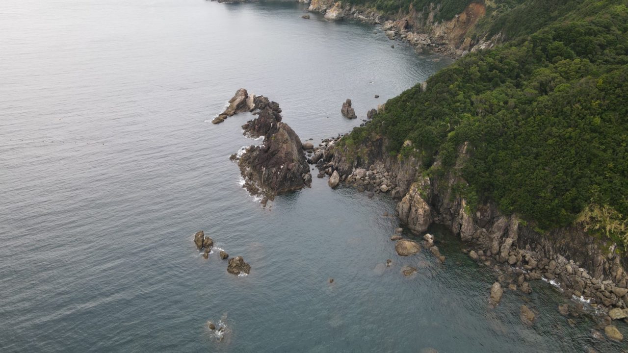【和歌山県有田市】『逢井漁港:おおいぎょこう』のおすすめ海釣りガイド(釣れる魚・渡し船・駐車場)|和歌山釣りwalker