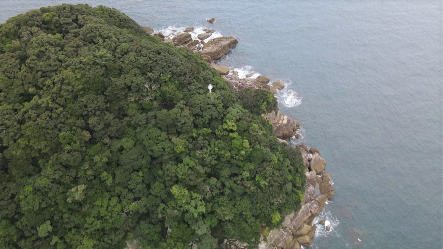 【和歌山県すさみ町】『すさみ漁港・小泊漁港』の海釣りガイド（釣れる魚・駐車場・トイレ）｜和歌山釣りwalker