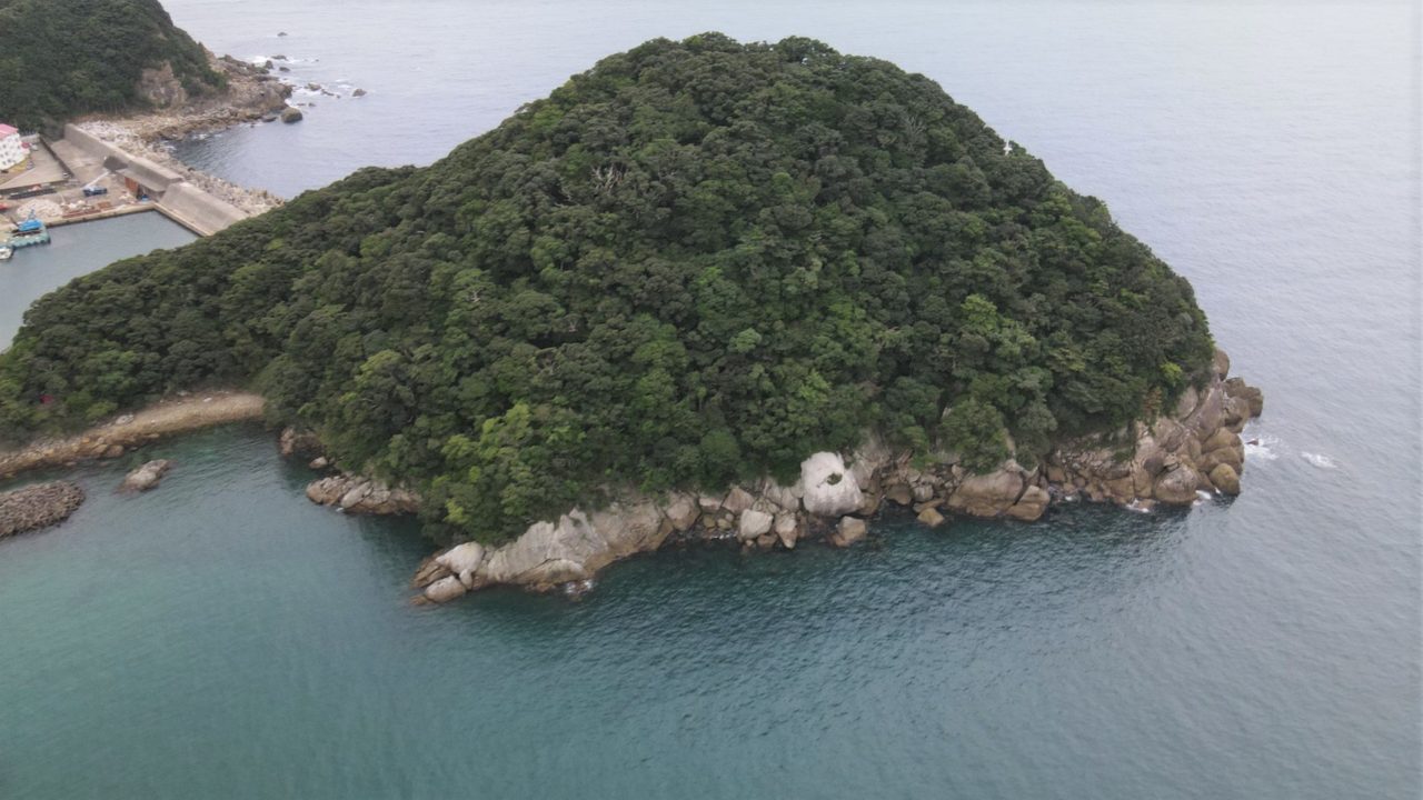 【和歌山県すさみ町】『すさみ漁港・小泊漁港』の海釣りガイド(釣れる魚・駐車場・トイレ)|和歌山釣りwalker