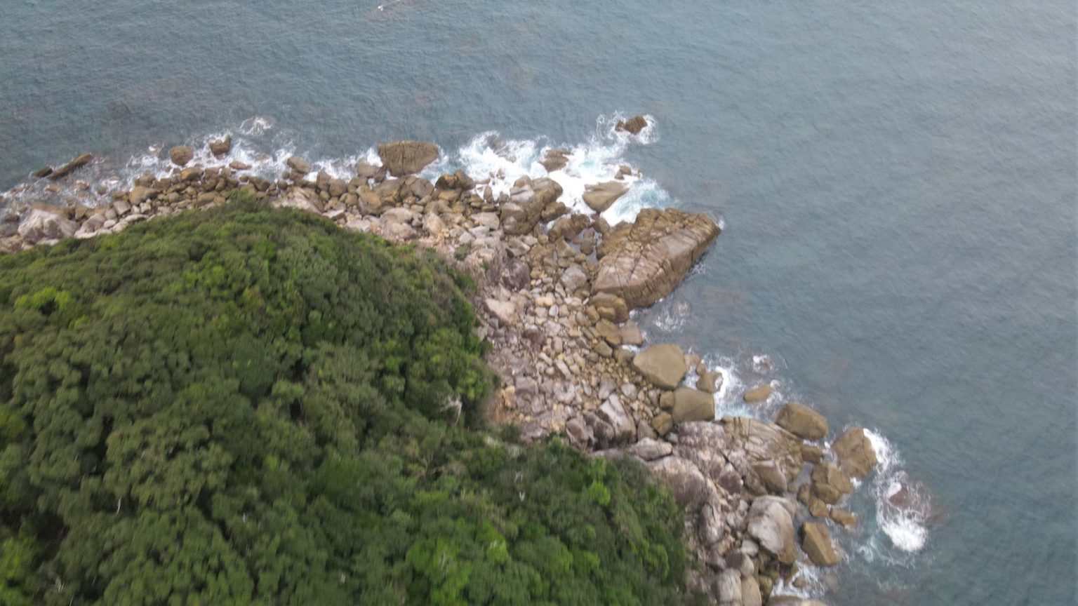 【和歌山県すさみ町】『すさみ漁港・小泊漁港』の海釣りガイド(釣れる魚・駐車場・トイレ)|和歌山釣りwalker