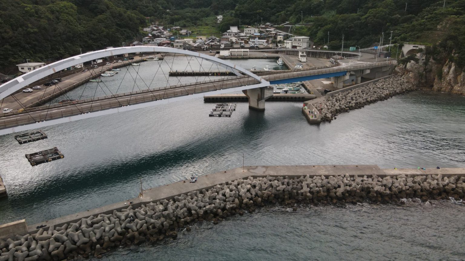 【和歌山県由良町】『戸津井魚港:とついぎょこう』の海釣りガイド(釣れる魚・駐車場・トイレ)|和歌山釣りwalker