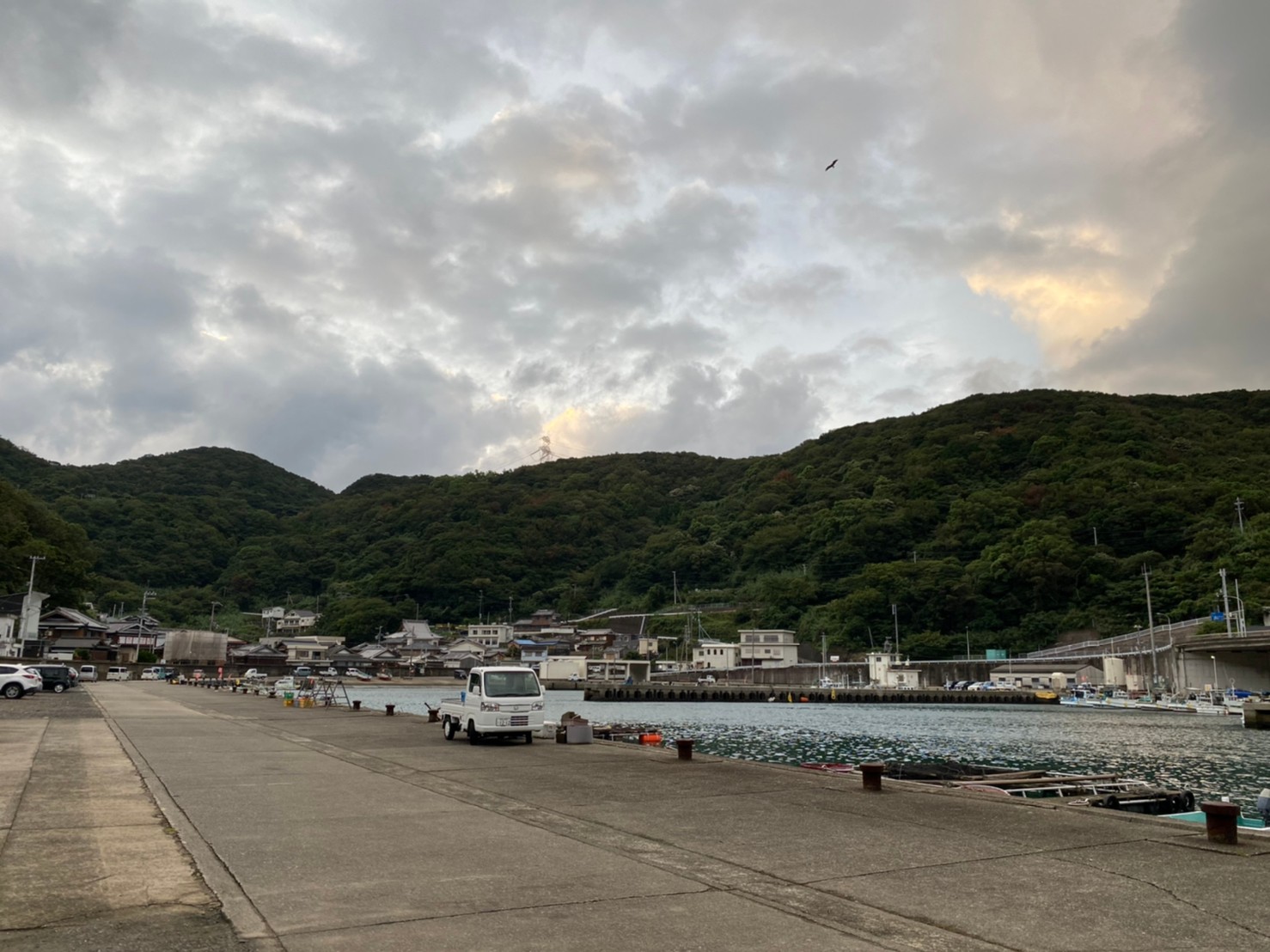【和歌山県由良町】『戸津井魚港:とついぎょこう』の海釣りガイド(釣れる魚・駐車場・トイレ)|和歌山釣りwalker