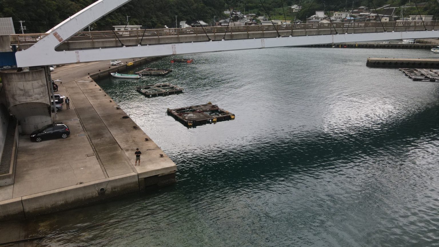 【和歌山県由良町】『戸津井魚港:とついぎょこう』の海釣りガイド(釣れる魚・駐車場・トイレ)|和歌山釣りwalker