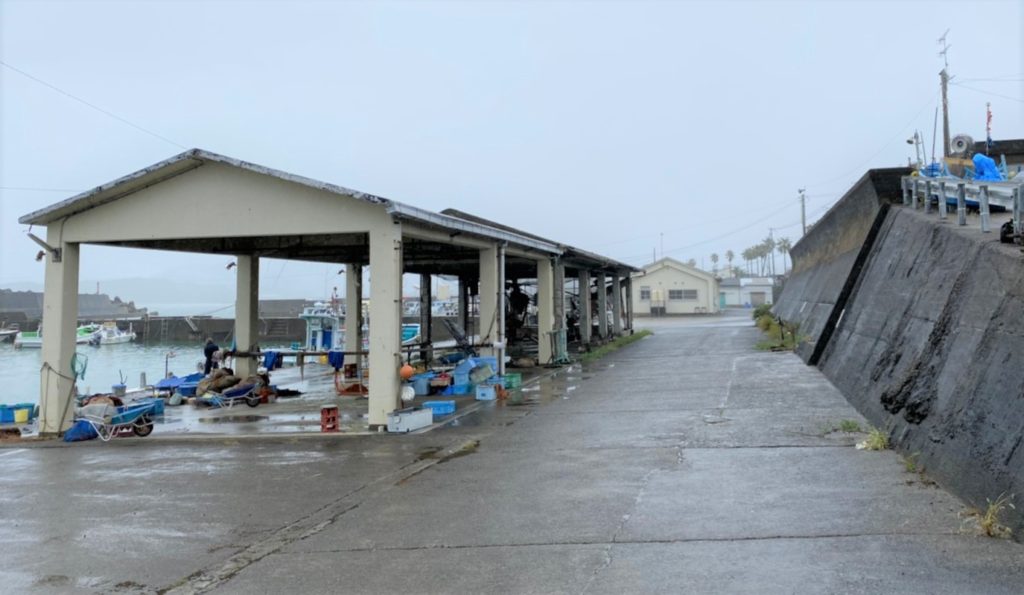 【和歌山県みなべ町】『埴田漁港|はねたぎょこう』の海釣りガイド(釣れる魚・駐車場・トイレ)|和歌山釣りwalker