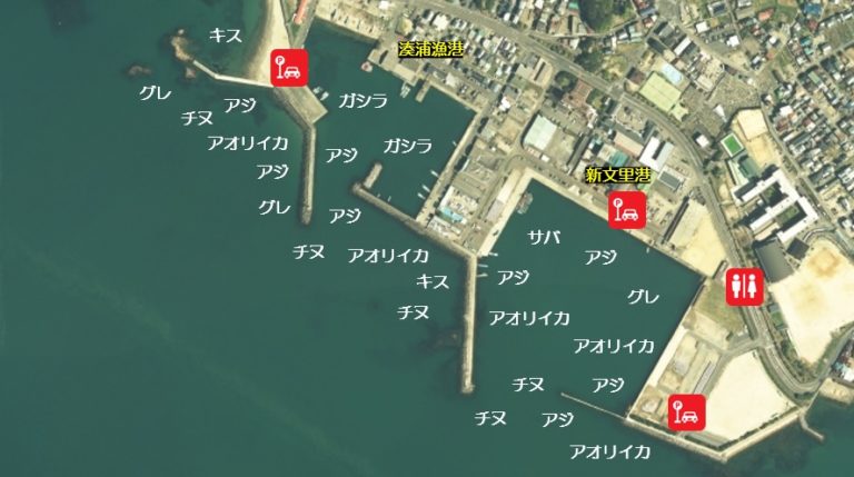 【保存版】和歌山県「田辺市」おすすめ海釣りスポット11選（釣れる魚・アクセス）｜和歌山釣りwalker