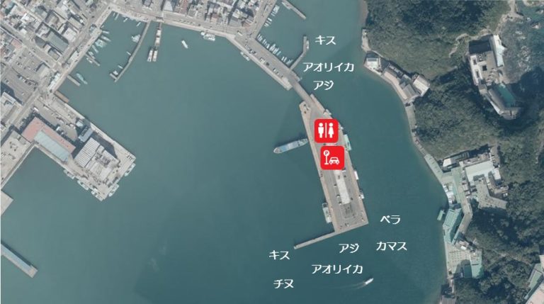 【まとめ】和歌山県「那智勝浦町」おすすめ海釣りスポット7選(釣れる魚・アクセス)|和歌山釣りwalker