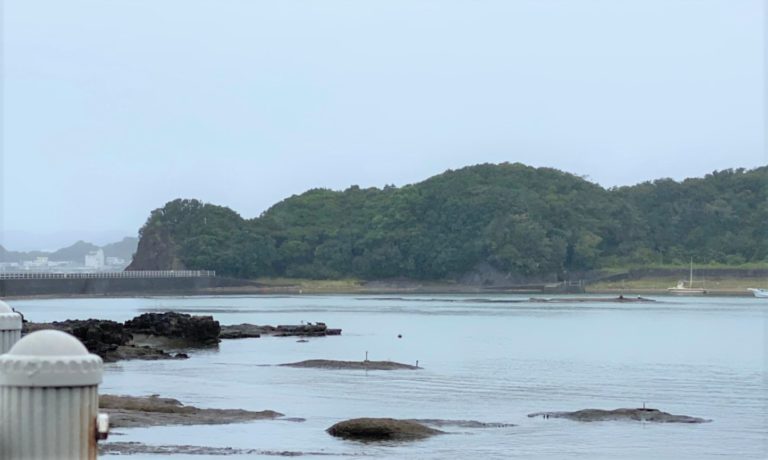 【和歌山県田辺市|人気!】『元島|もとしま』の海釣りガイド(釣れる魚・駐車場・トイレ)|和歌山釣りwalker