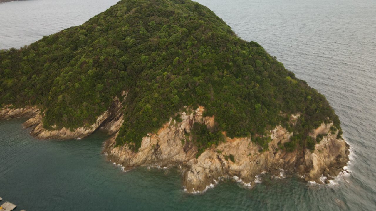 【完全保存版】和歌山県「由良町」のおすすめ海釣りスポット11選|和歌山釣りwalker
