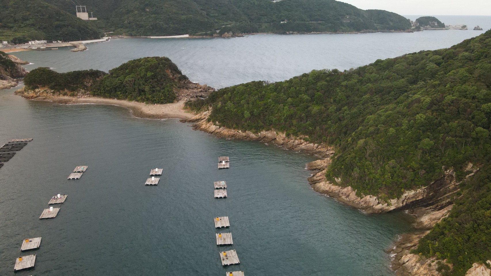 【和歌山県由良町】『十九島：つるしま』の海釣りガイド（釣れる魚・駐車場・渡し船）｜和歌山釣りwalker