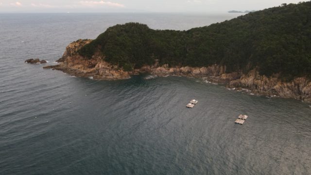 【和歌山県由良町】『十九島:つるしま』の海釣りガイド(釣れる魚・駐車場・渡し船)|和歌山釣りwalker