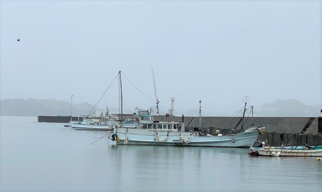 【まとめ】和歌山県「みなべ町」おすすめ海釣りスポット6選(釣れる魚・アクセス)|和歌山釣りwalker