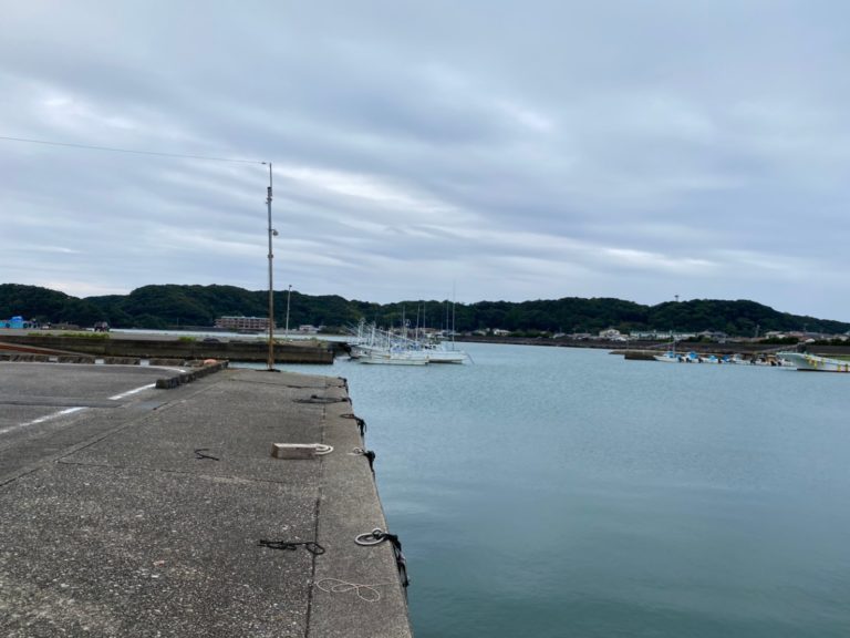 【和歌山県那智勝浦町】『宇久井海水浴場』の海釣りガイド（釣れる魚・駐車場・トイレ）｜和歌山釣りwalker