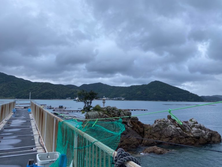 【和歌山県由良町】『由良海つり公園』の海釣りガイド(釣れる魚・料金・駐車場)|和歌山釣りwalker