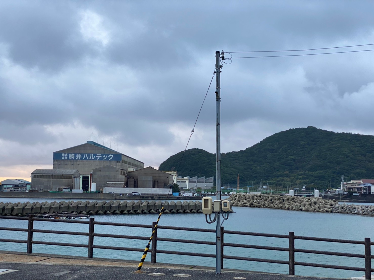 【和歌山県由良町】『神谷漁港』の海釣りガイド(釣れる魚・駐車場・渡し船)|和歌山釣りwalker