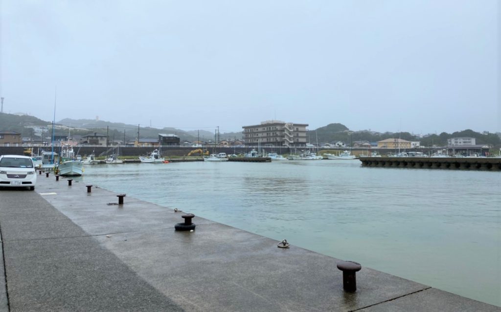 【保存版】和歌山県「田辺市」おすすめ海釣りスポット11選（釣れる魚・アクセス）｜和歌山釣りwalker