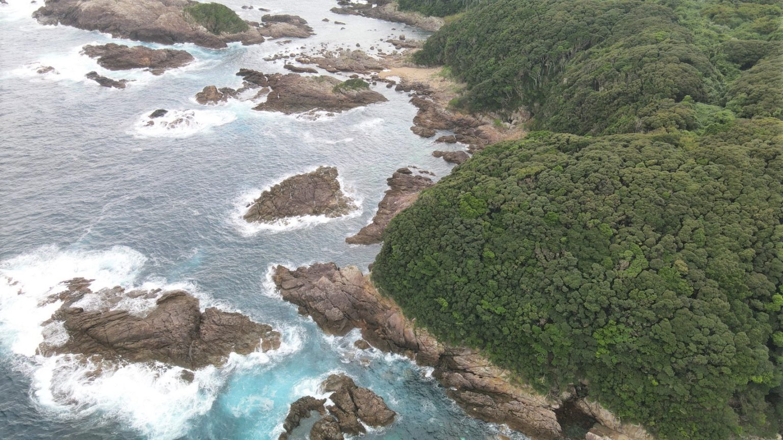 【和歌山県串本町】『通夜島周辺|つやじま』の海釣りガイド(釣れる魚・駐車場・トイレ)|和歌山釣りwalker