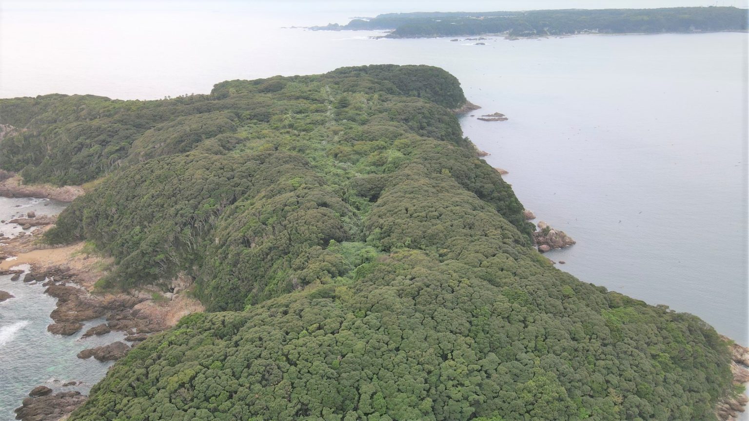 【和歌山県串本町】『通夜島周辺|つやじま』の海釣りガイド(釣れる魚・駐車場・トイレ)|和歌山釣りwalker