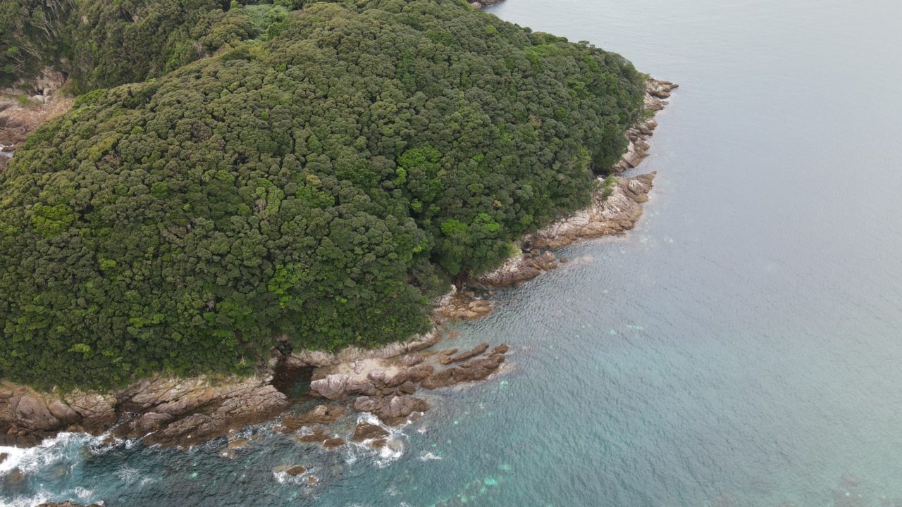 【和歌山県串本町】『通夜島周辺|つやじま』の海釣りガイド(釣れる魚・駐車場・トイレ)|和歌山釣りwalker