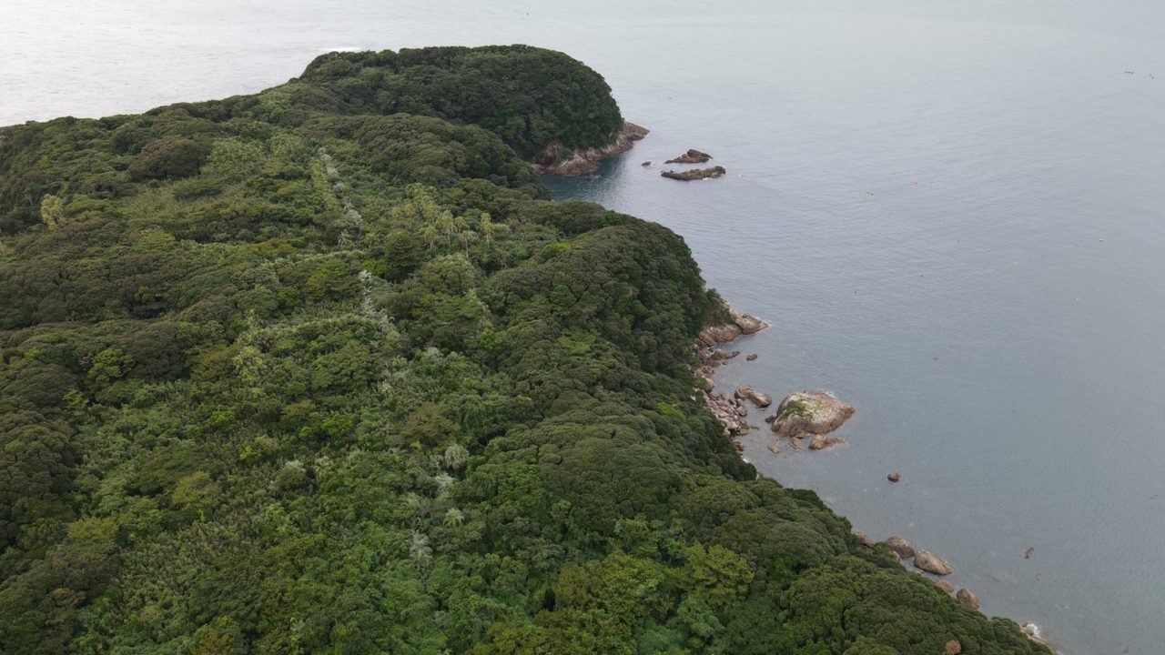 【和歌山県串本町】『通夜島周辺｜つやじま』の海釣りガイド（釣れる魚・駐車場・トイレ）｜和歌山釣りwalker