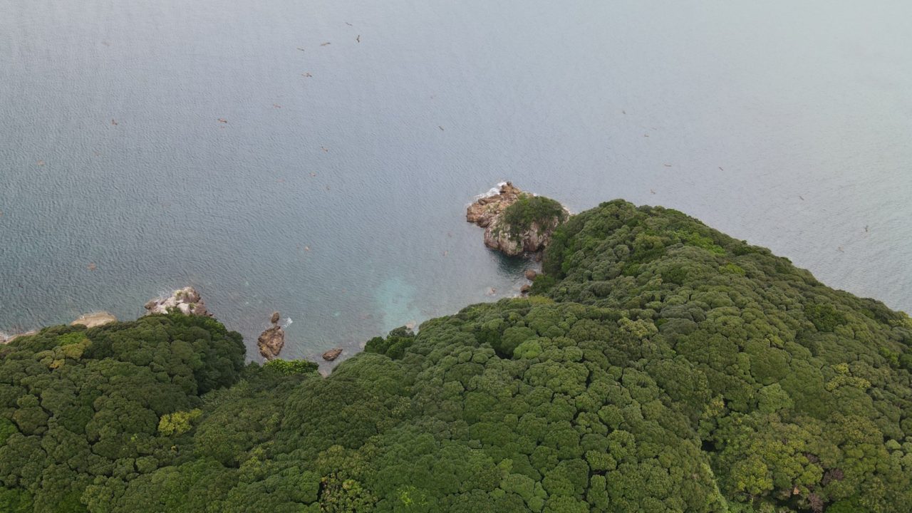 【和歌山県串本町】『通夜島周辺｜つやじま』の海釣りガイド（釣れる魚・駐車場・トイレ）｜和歌山釣りwalker