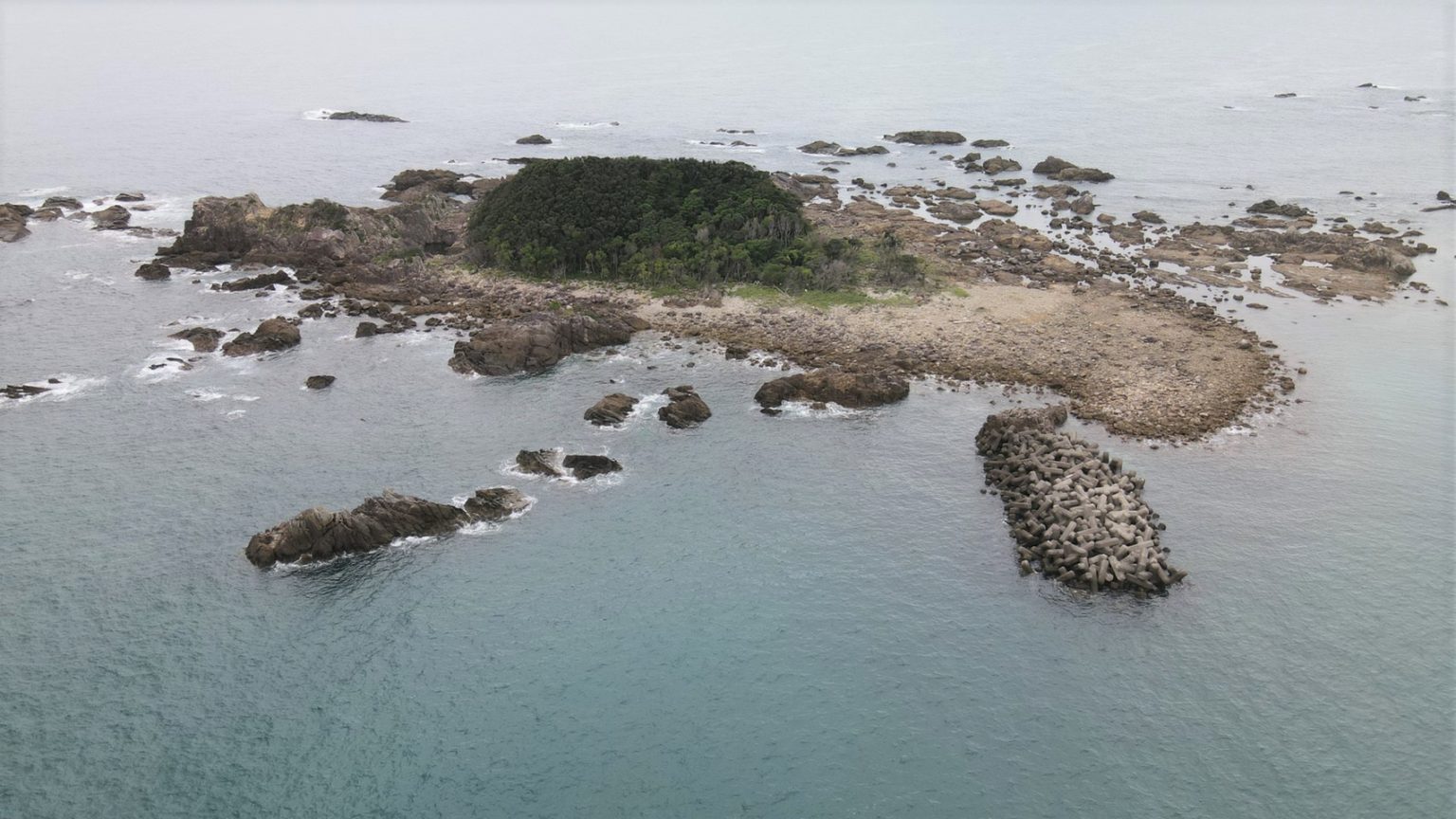 【和歌山県すさみ町】『里野漁港』の海釣りガイド(釣れる魚・駐車場・トイレ)|和歌山釣りwalker