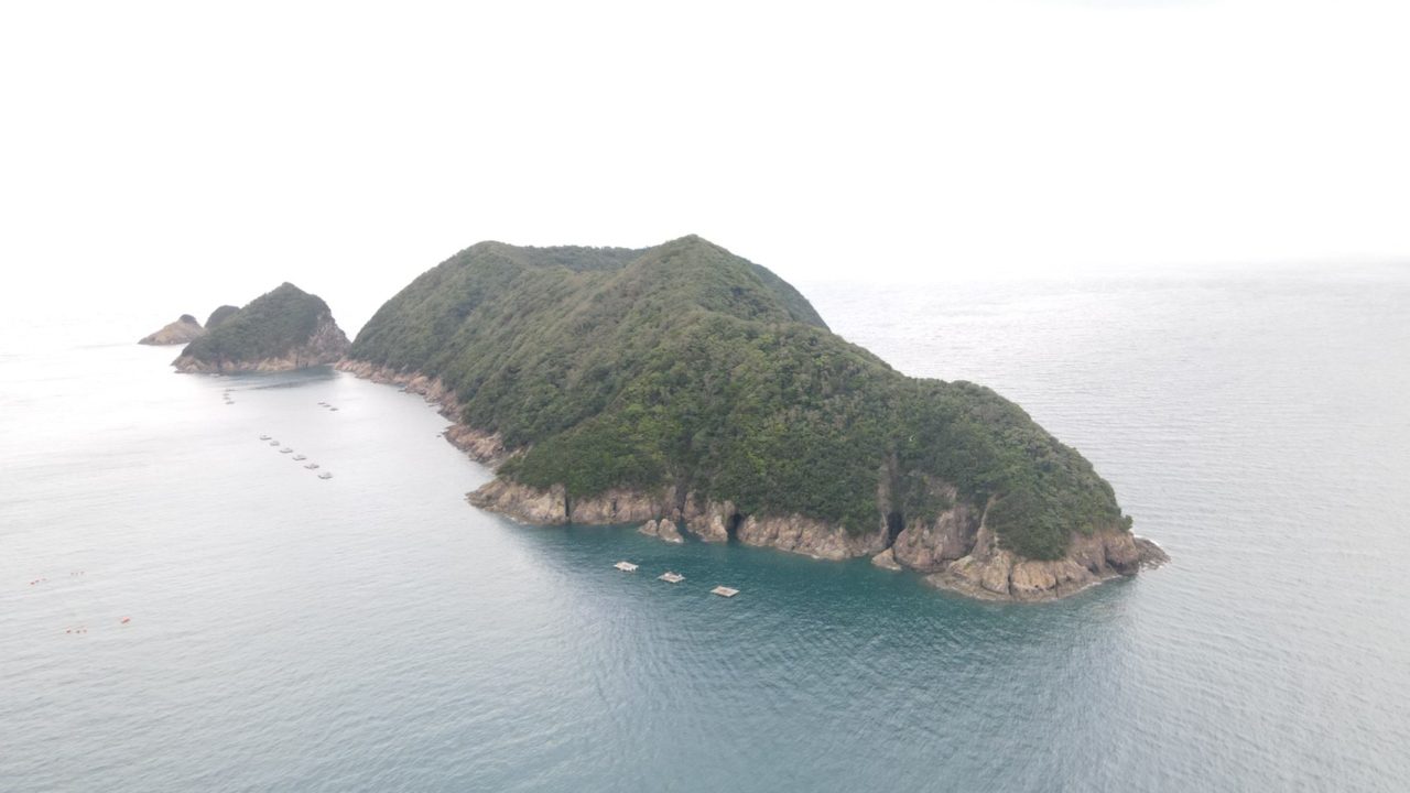 【和歌山県由良町】『黒島』の海釣りガイド(釣れる魚・駐車場・渡し船)|和歌山釣りwalker