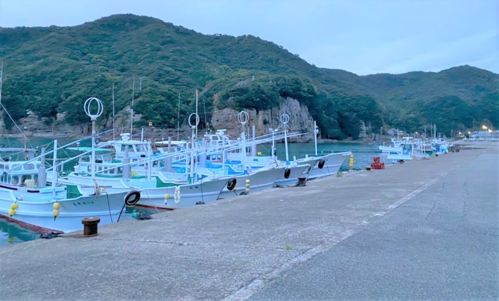 【和歌山県白浜町】『市江港』の海釣りガイド(釣れる魚・駐車場・トイレ)|和歌山釣りwalker