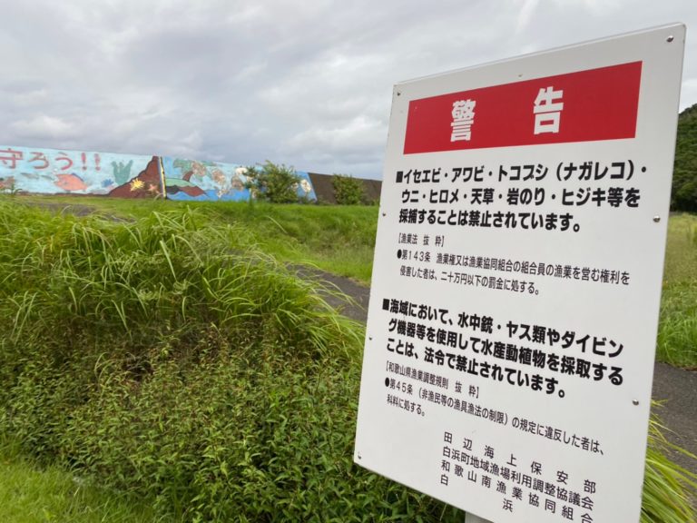 【和歌山県白浜町|人気!】『メズロの鼻』の海釣りガイド(釣れる魚・駐車場・トイレ)|和歌山釣りwalker