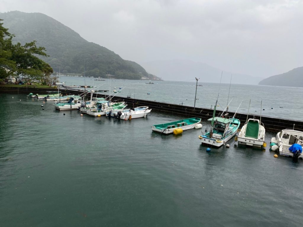 【三重県尾鷲市】『賀田湾・賀田漁港』の海釣りガイド（釣れる魚・駐車場・トイレ）｜東海釣りwalker