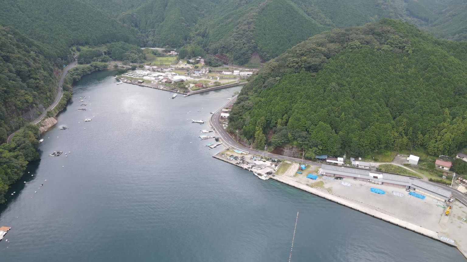 【三重県尾鷲市｜水深が深い】『九鬼漁港（くきぎょこう）』の海釣りガイド（釣れる魚・駐車場・トイレ）｜東海釣りwalker