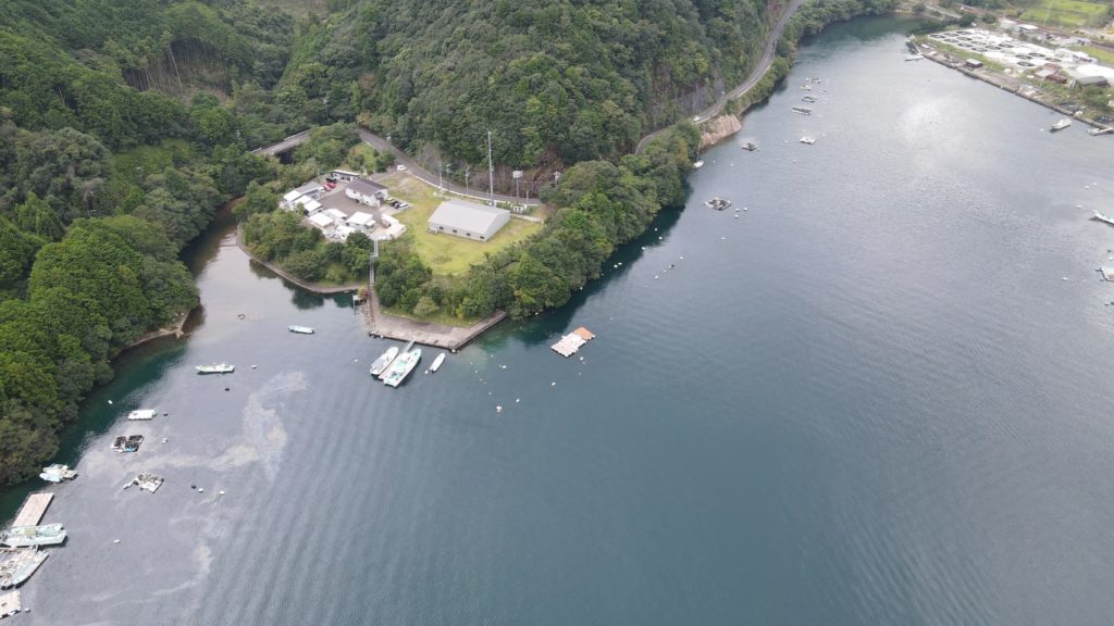 【三重県尾鷲市｜水深が深い】『九鬼漁港（くきぎょこう）』の海釣りガイド（釣れる魚・駐車場・トイレ）｜東海釣りwalker