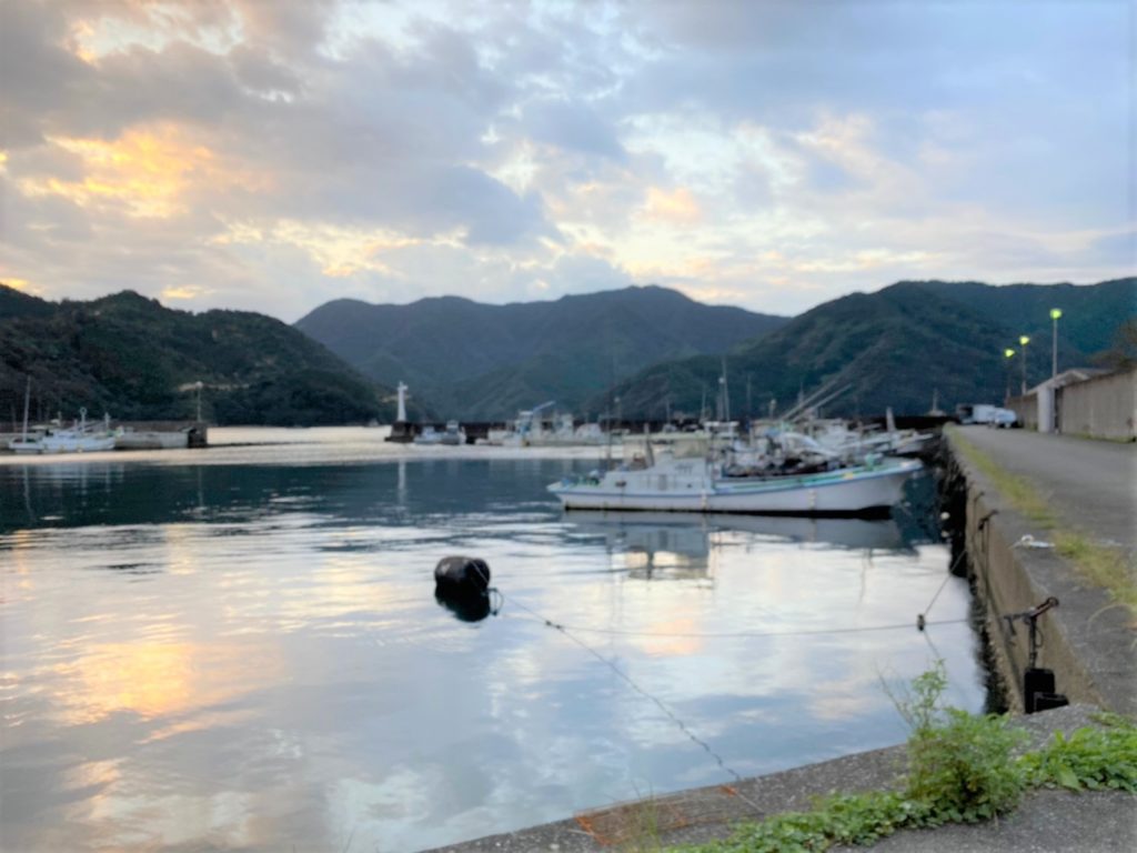 【三重県南伊勢町】『古和浦港(こわうらこう)』の海釣りガイド(釣れる魚・駐車場・トイレ)|東海釣りwalker