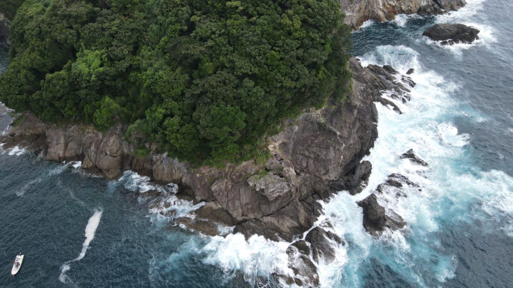 【三重県尾鷲市】『佐波留島(さばるじま)・ムーミン島』の海釣りガイド(釣れる魚・駐車場・トイレ)|東海釣りwalker