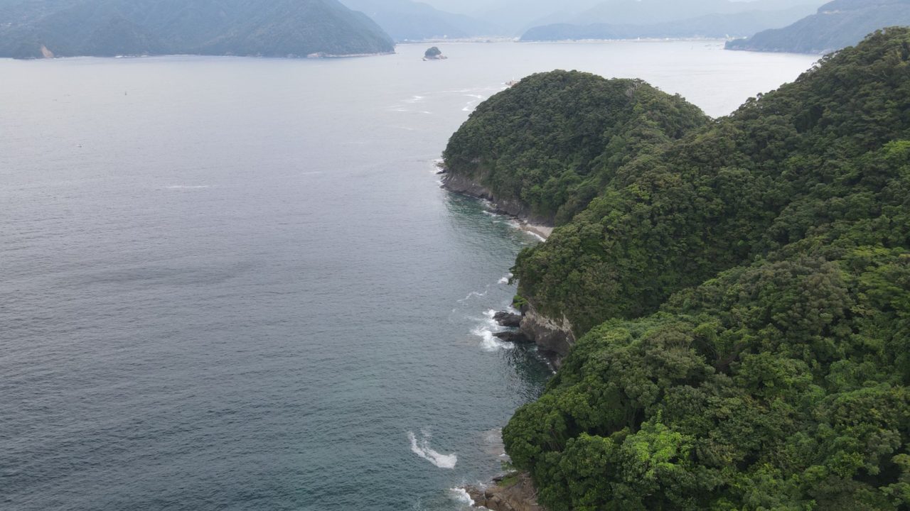 【三重県尾鷲市】『佐波留島(さばるじま)・ムーミン島』の海釣りガイド(釣れる魚・駐車場・トイレ)|東海釣りwalker