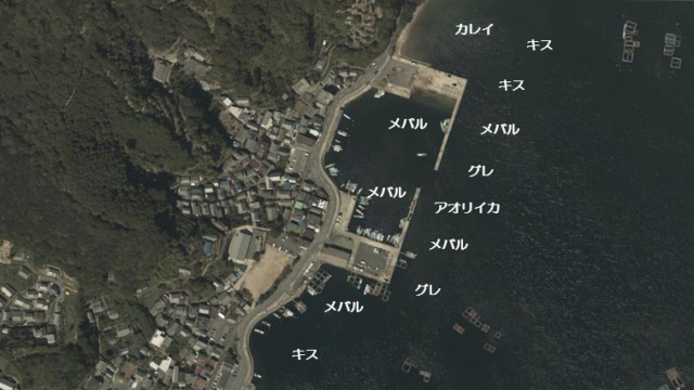 【保存版】三重県「南伊勢町」おすすめ海釣りスポット9選(釣れる魚・アクセス)|東海釣りwalker