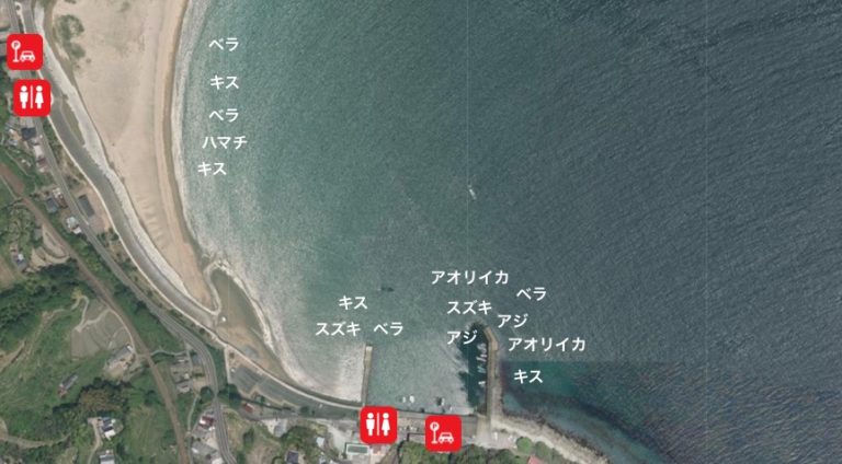 三重県「熊野市」おすすめ海釣りスポット6選（釣れる魚・アクセス）｜東海釣りwalker