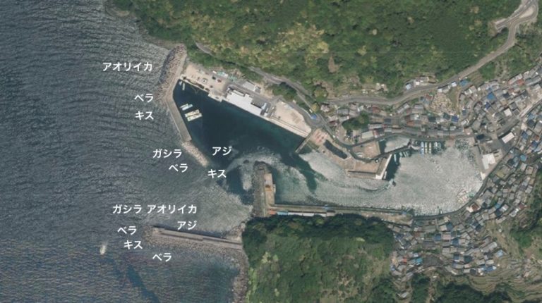 三重県「熊野市」おすすめ海釣りスポット6選（釣れる魚・アクセス）｜東海釣りwalker