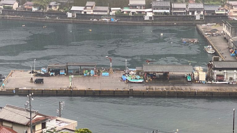 【三重県熊野市】『二木島港（にぎしまこう）』の海釣りガイド（釣れる魚・駐車場・トイレ）｜東海釣りwalker