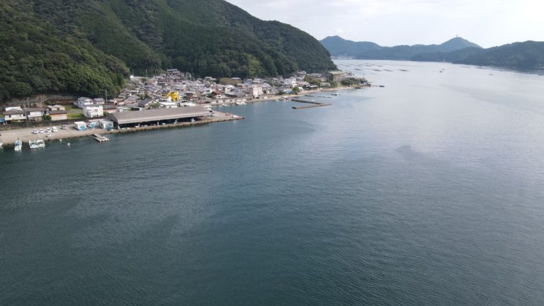 【三重県紀北町|大人気!】『引本港(ひきもとこう)』の海釣りガイド(釣れる魚・駐車場・トイレ)|東海釣りwalker