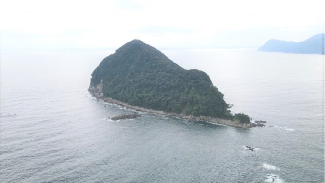 【保存版】三重県「尾鷲市」おすすめ海釣りスポット12選（釣れる魚・アクセス）｜東海釣りwalker