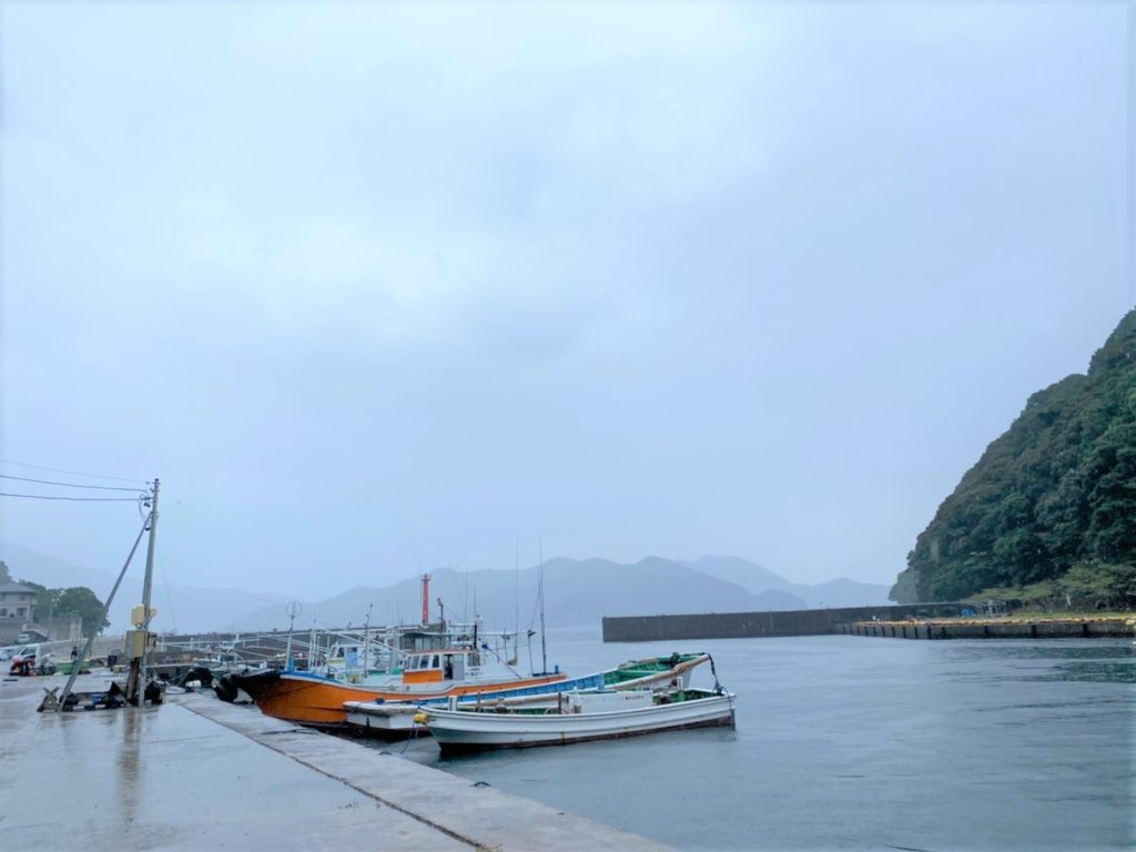 【三重県尾鷲市】『梶賀漁港(かじか)』の海釣りガイド(釣れる魚・駐車場・トイレ)|東海釣りwalker