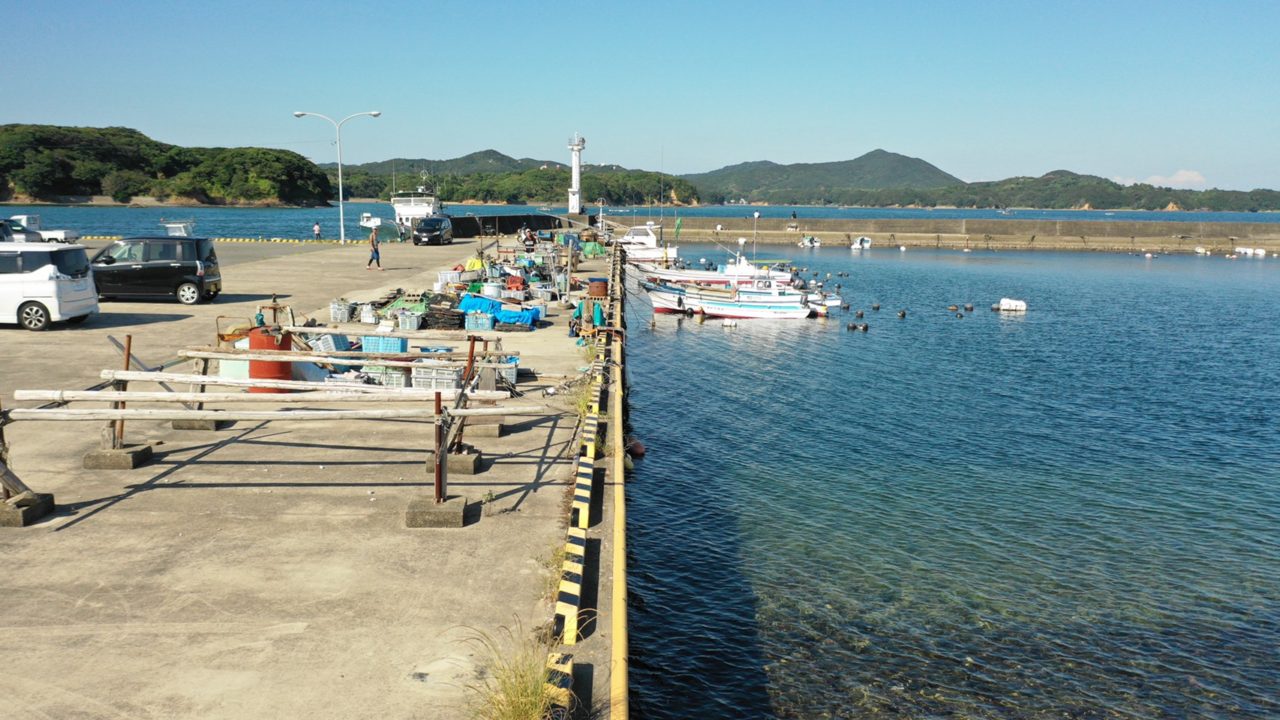 【三重県志摩市】『海ほおずき・浜島港周辺』の海釣りガイド（釣れる魚・駐車場・トイレ）｜東海釣りwalker