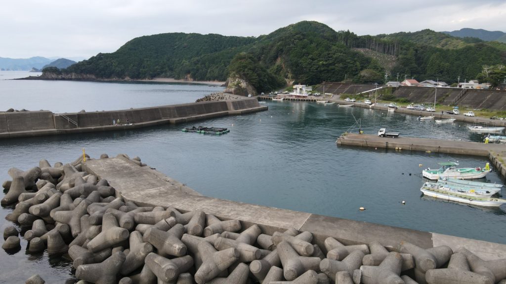 【三重県紀北町】『海野漁港(かいのぎょこう)』の海釣りガイド(釣れる魚・駐車場・トイレ)|東海釣りwalker