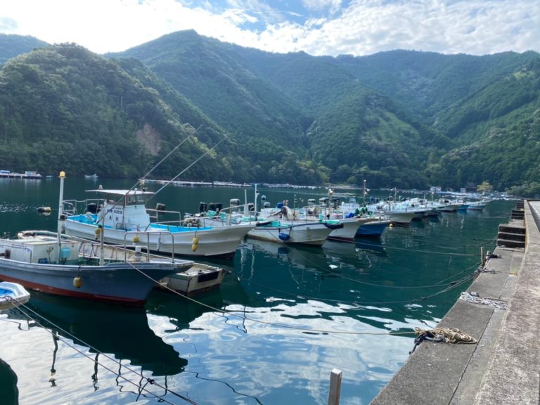 【三重県尾鷲市】『須賀利漁港(すがりぎょこう)』の海釣りガイド(釣れる魚・駐車場・トイレ)|東海釣りwalker