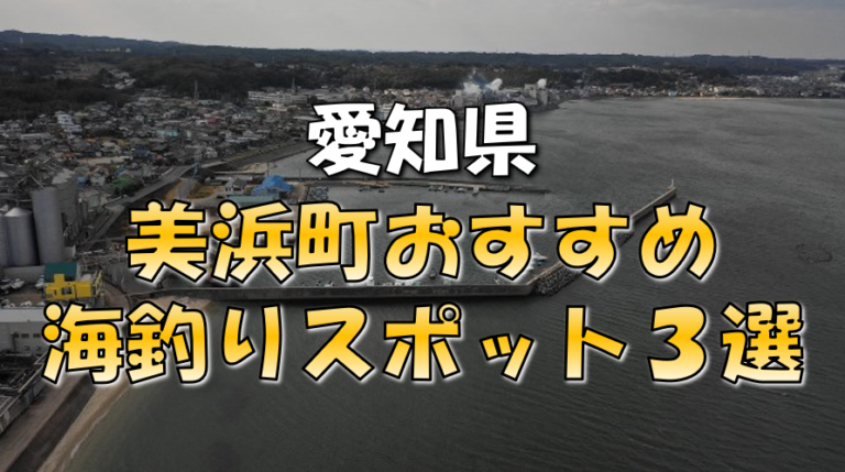 【保存版】愛知県「美浜町」おすすめ海釣りスポット3選｜東海釣りwalker
